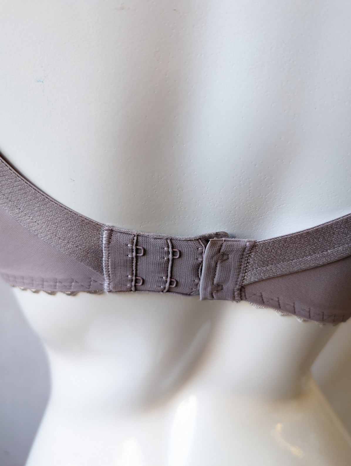 Prima Donna Delight | 0162761 Full Cup — Your Bra Store